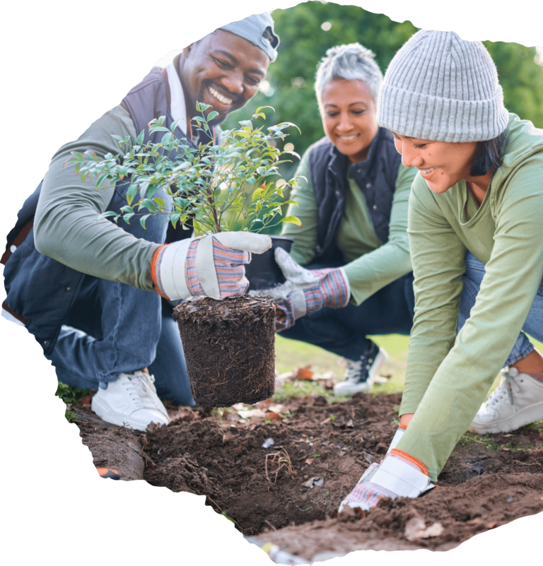 Volunteer - Wassmuth Center for Human Rights